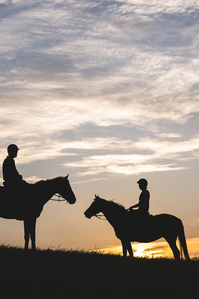 HEART RANCH / ハートランチ