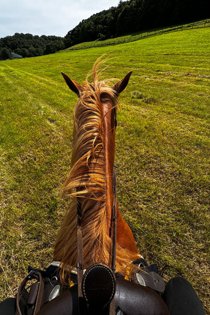 HEART RANCH / ハートランチ