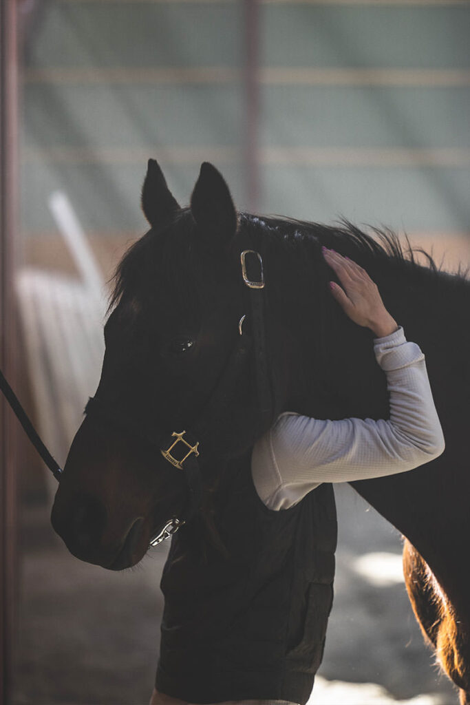 HEART RANCH / ハートランチ