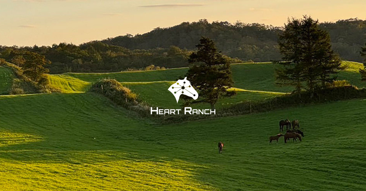 STAY / CAFE / CAMP / BBQ - HEART RANCH